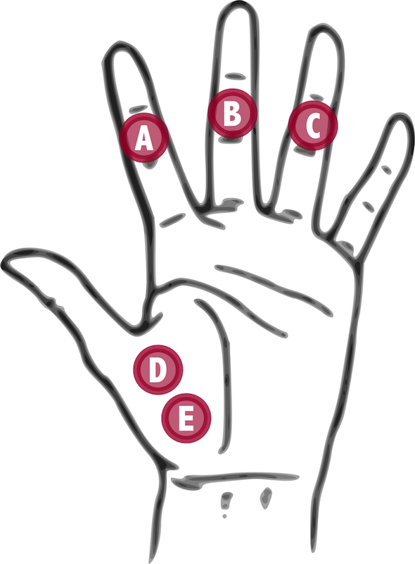 Where should I place the EDA electrodes?